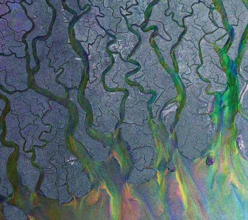 ALT-J - An Awesome Wave