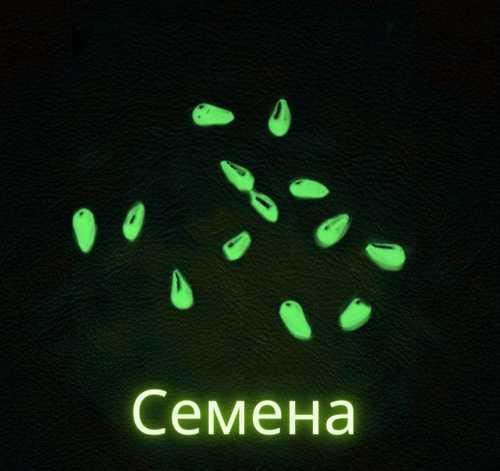 Семена хищных растений