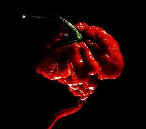 Carolina Reaper - Каролинский жнец самый острый пе