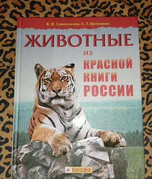 Книги. Энциклопедии
