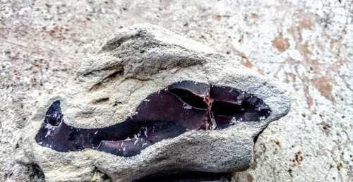 Метеорит, горный хрусталь, ракушка, "кит в камне"