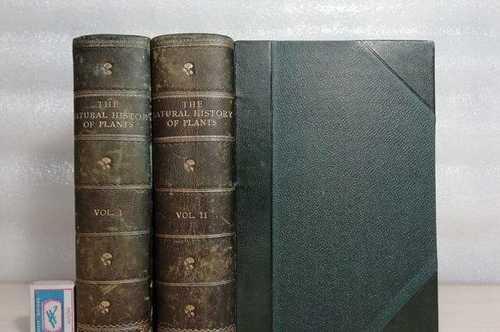 1902г. История Растений, 2.000 Гравюр, 1-е издание