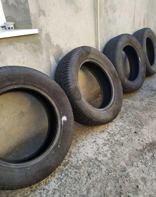 Sava perfecta 195/65r15