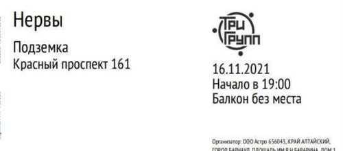 Билет на концерт группы "Нервы" 16.11.2021
