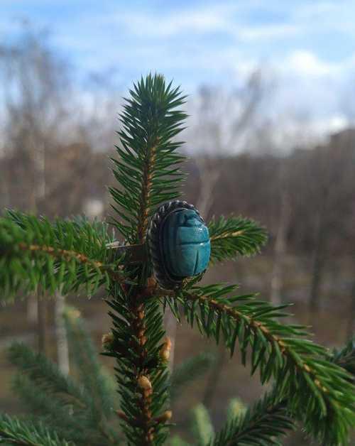 Кольцо винтаж "Жучок"