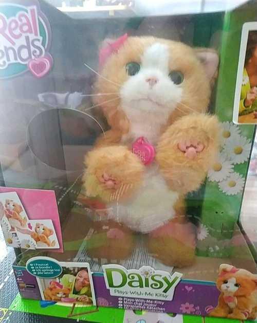 Котёнок daisy