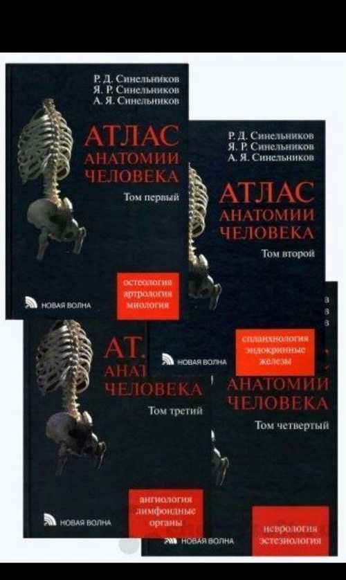 4 том анатомия. Атлас анатомии человека Синельников 1 том. Атлас анатомии человека р.д. Синельникова в 4 томах. Атлас анатомии человека Синельников том 4. Привес атлас анатомии человека.