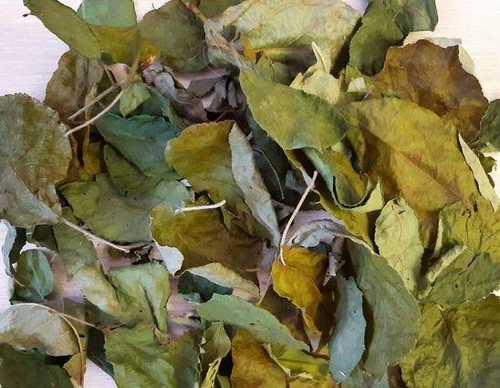 Сушеные листья для грызунов, улиток