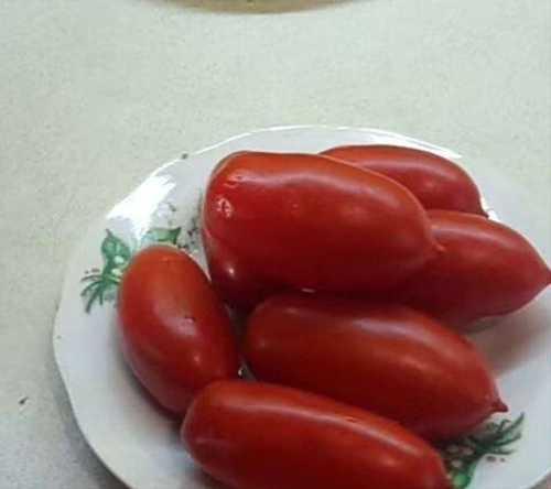 Семена томата Сызранский дамский пальчик