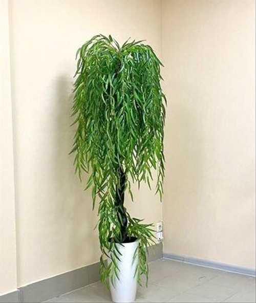 Ива Летняя - искусственное растение цветок