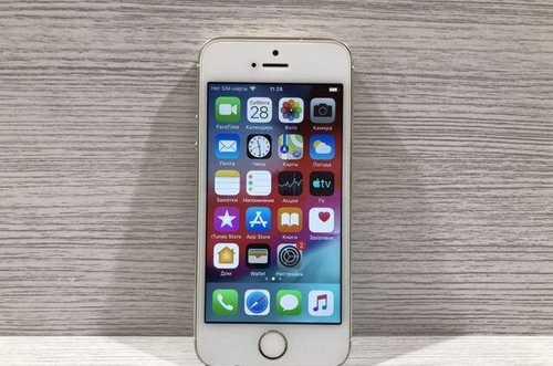 iPhone 5s (gold)
