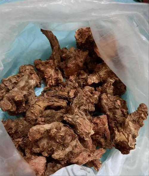 Золотой корень, родиола розовая