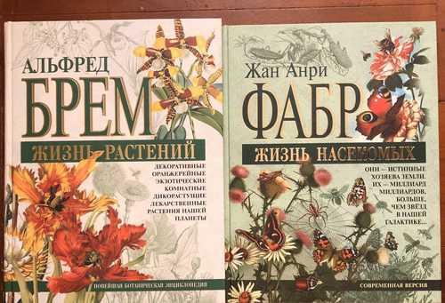 Книги Брэм, Фабр