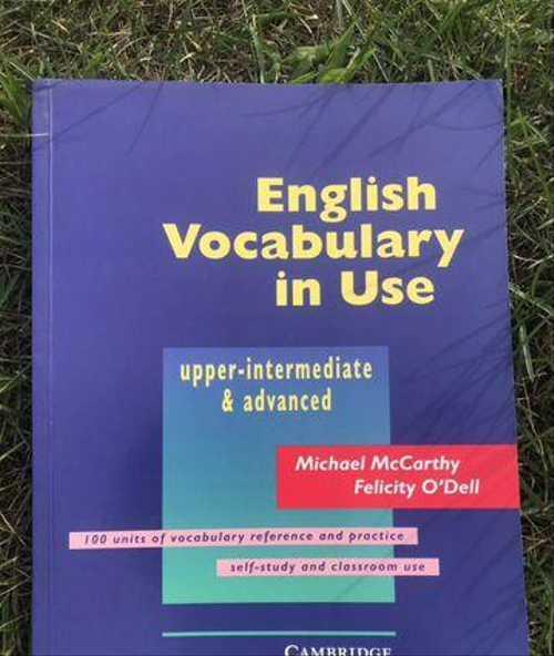 English vocabulary in use