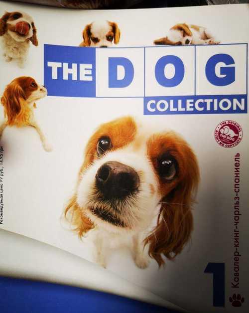 The dog collection с 1 по 30