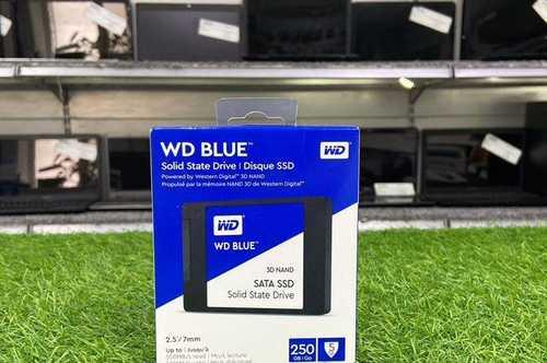 SSD WD Blue 250Gb