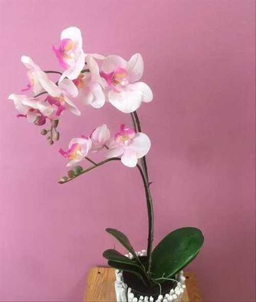 Орхидея (фаленопсис) искусственная разные