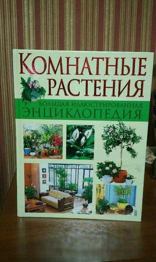 Энциклопедия комнатных растений