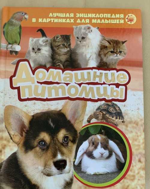 Детские Книги, коллекция энциклопедий для малышей