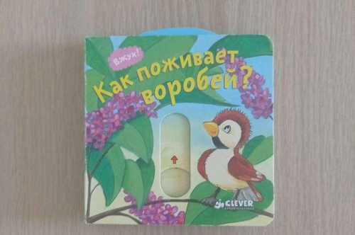 Книга Вжух Как поживает воробей издательство Cleve