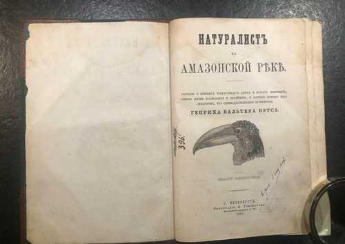 Натуралист на Амазонской реке. Бэтс Г., 1865г