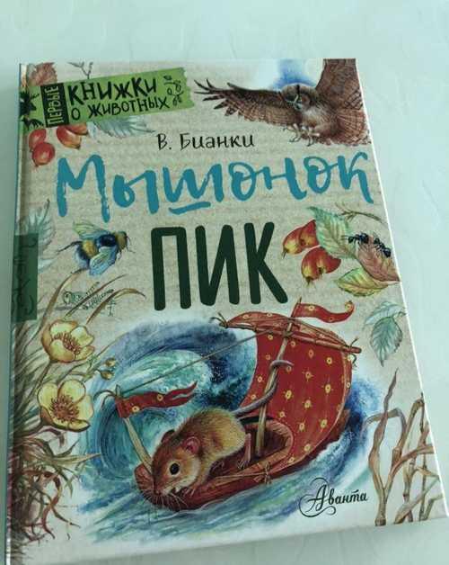 Детская книга «Мышонок пик»