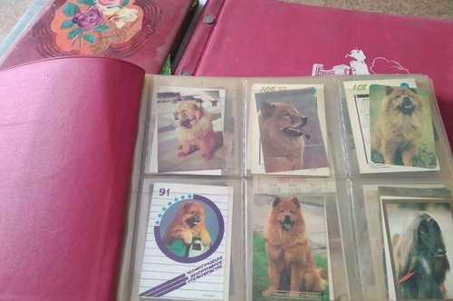 Календари, открытки с собаками оптом