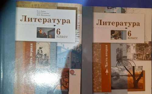 Учебник литературы 6, 7, 9 класс. Ланин
