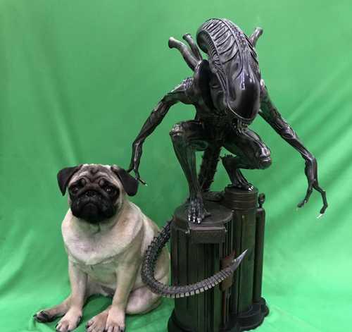 Alien Warrior Maquette - 1:4 - Sideshow Оригинал