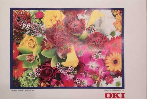 Принтер цветной лазерный OKI 5900