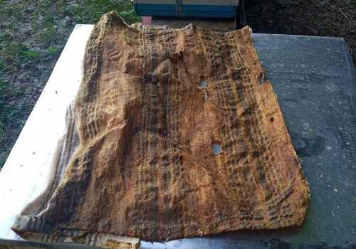 Холстик с прополисом из улья