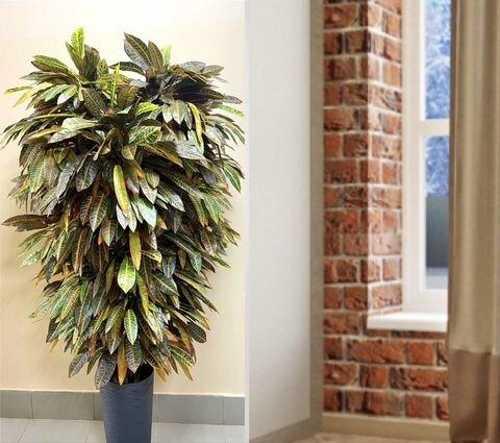 Кротон Респект 160 см - растение искусственное