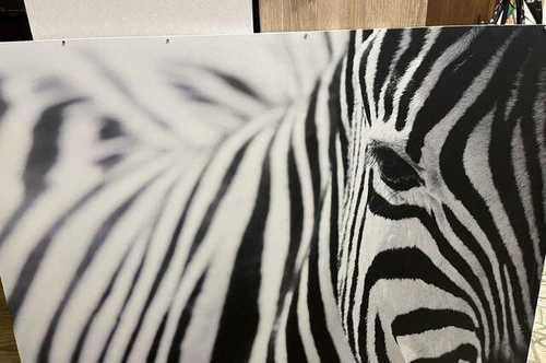 Картина с зеброй