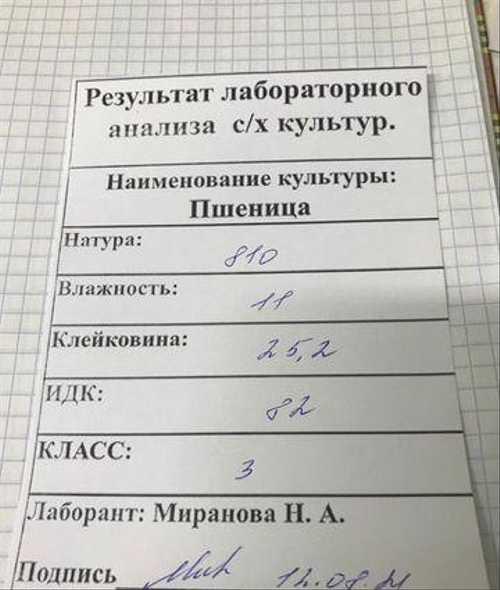 Пшеница 3 класс