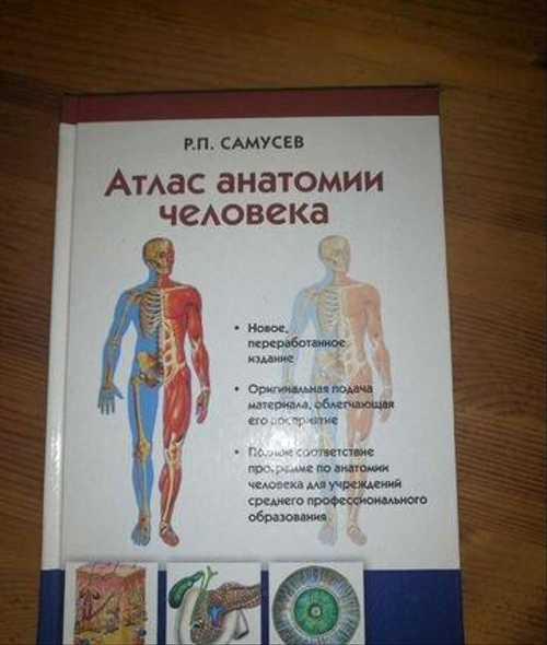 Атлас секционной анатомии. Атлас анатомии человека Самусев. Книги по анатомии для спортсменов.