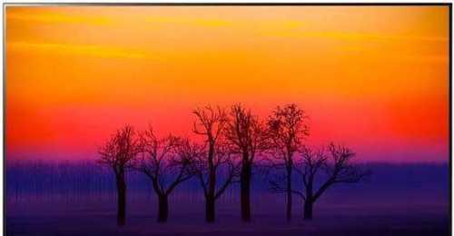 Телевизор LG oled 65B8SLB