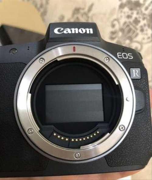 Canon r фото