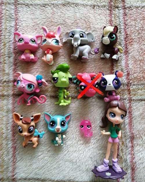 Littlest Pet Shop