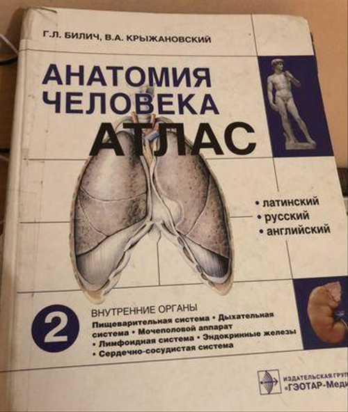 Анатомия в 2 томах. Анатомия человека Билич Крыжановский. Атлас анатомии Билич том 2. Атлас по анатомии человека Билич Крыжановский. Билич Крыжановский анатомия 2 том.