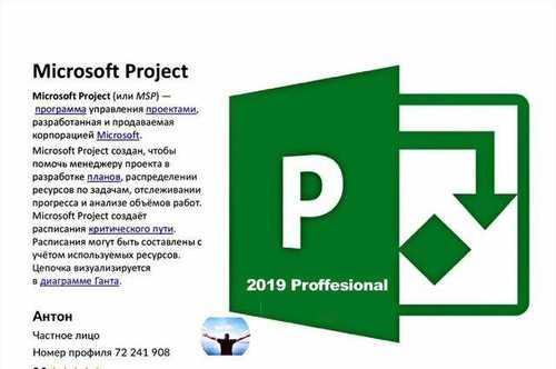 Microsoft Project Professional 2019 Лицензия ключ