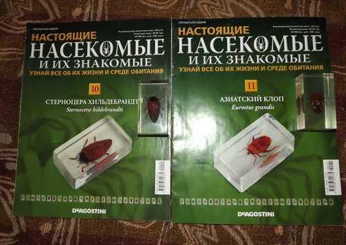 Журнал "Насекомые и их знакомые"