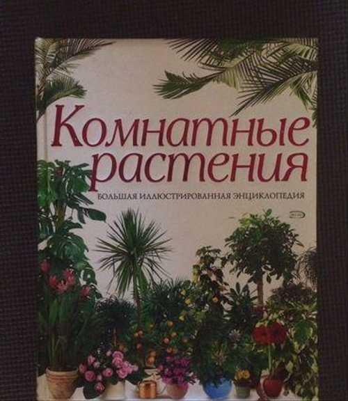 Комнатные растения. Энциклопедия