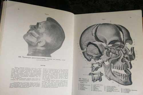 Атлас анатомии человека в пяти томах, 1946 г