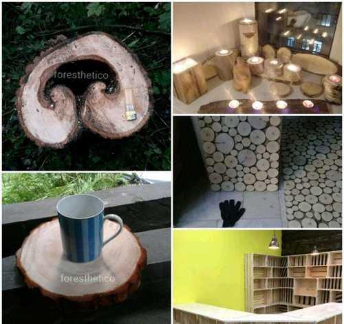 Пень пенек спил дерева сухой обработанный