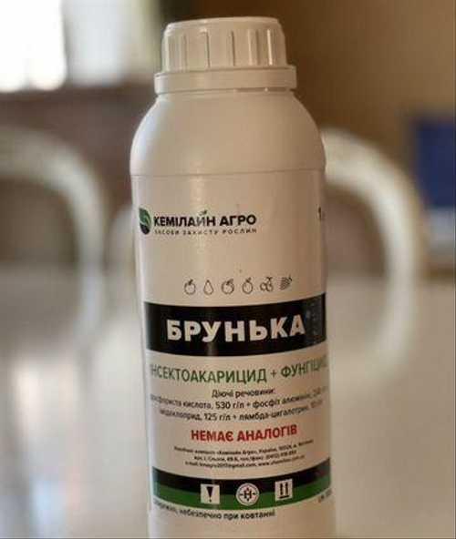 Брунька