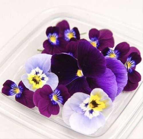 Виола съедобные цветы пищевые под срез