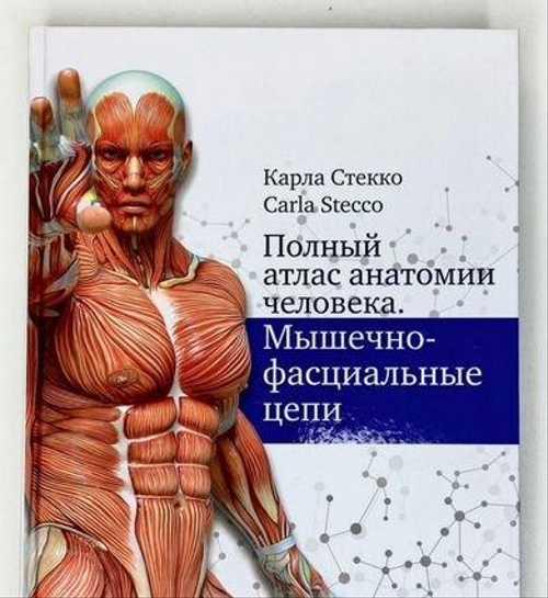 Карла Стекко Полный атлас анатомии человека