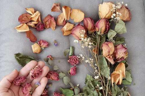 Лепестки роз сухие, шишки лиственницы