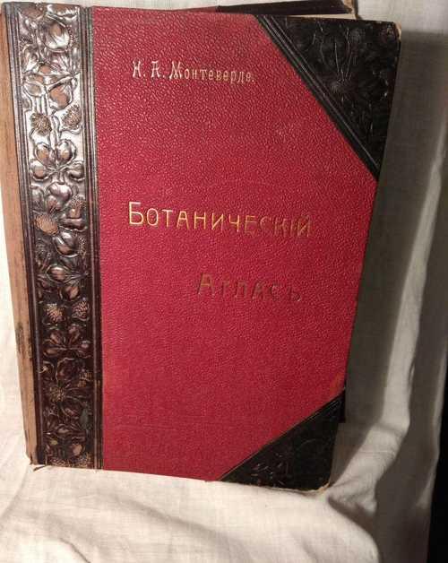 Ботанический атлас Монтеверде Н.А