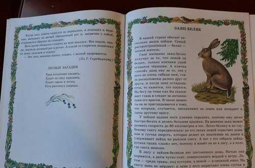 Книга Азбука Живой природы